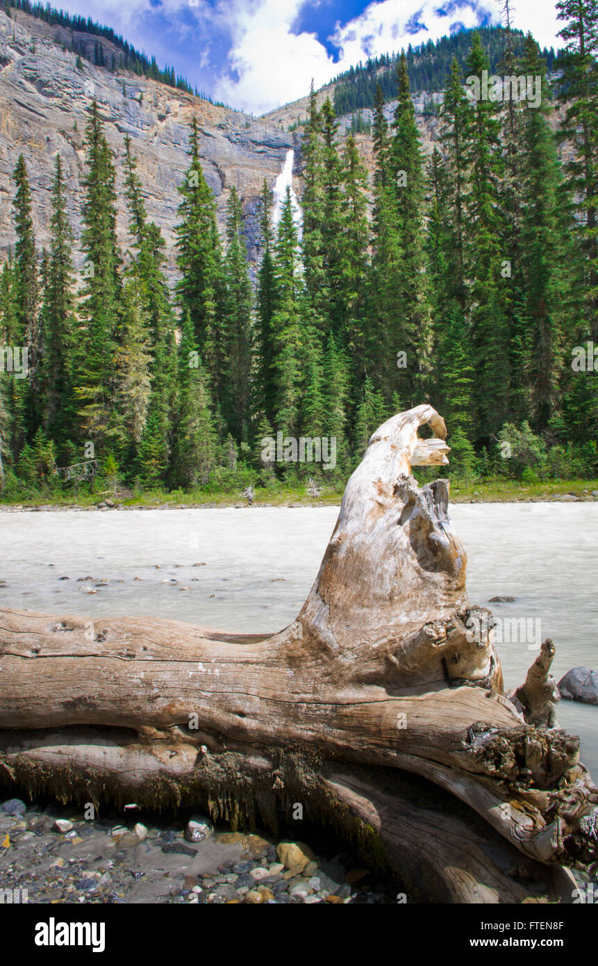beautiful scene in Banff national park, Albert, Canada Stock Photo - Alamy
