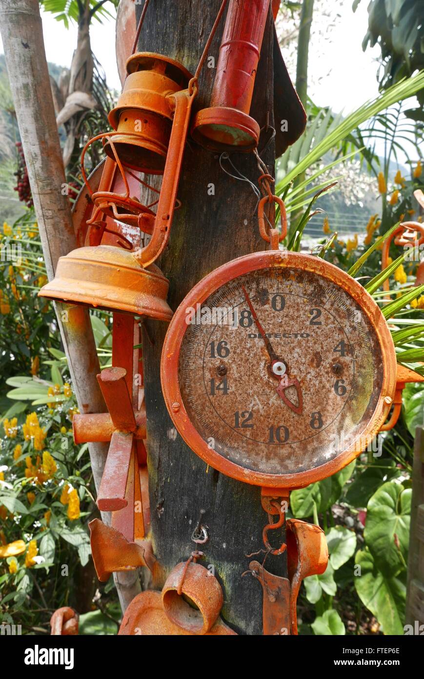 Rusty tree hi-res stock photography and images - Alamy