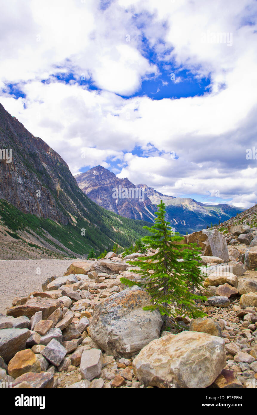 natual scene with lake and mountains in Canadian rocky mountain, Jasper ...