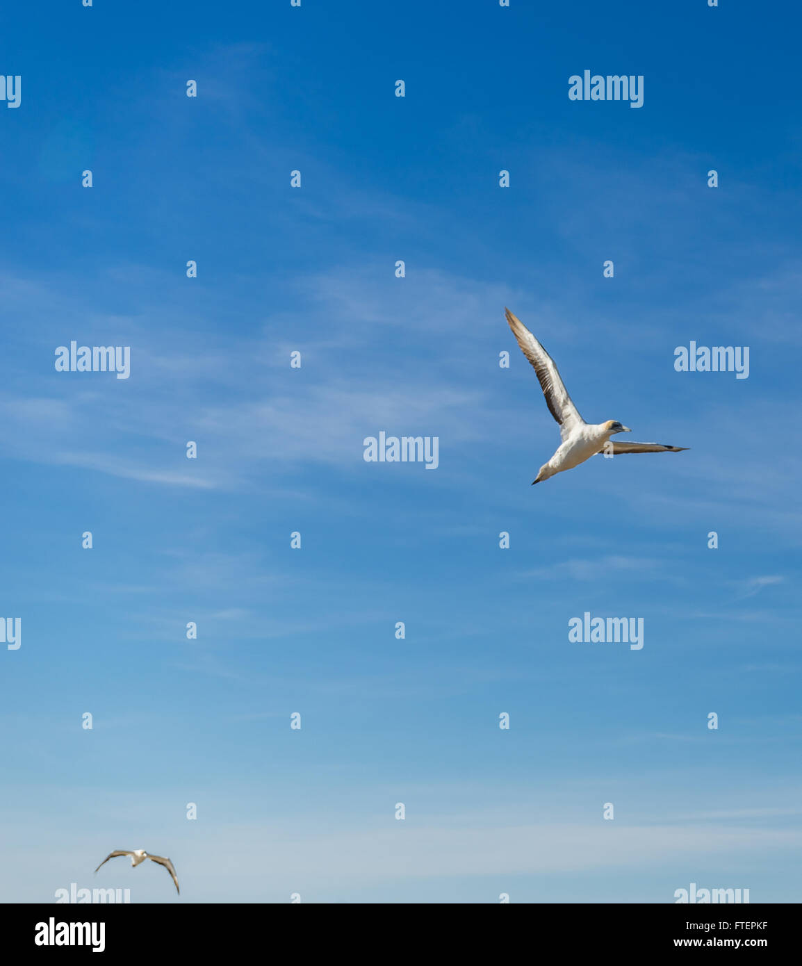 Flight practice hi-res stock photography and images - Alamy