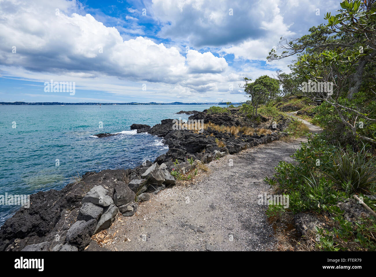 Rangitoto from hi-res stock photography and images - Alamy