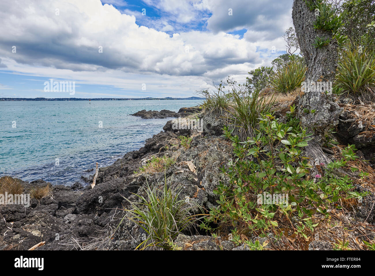 View of the mainland Auckland city from Rangitoto island Stock Photo ...