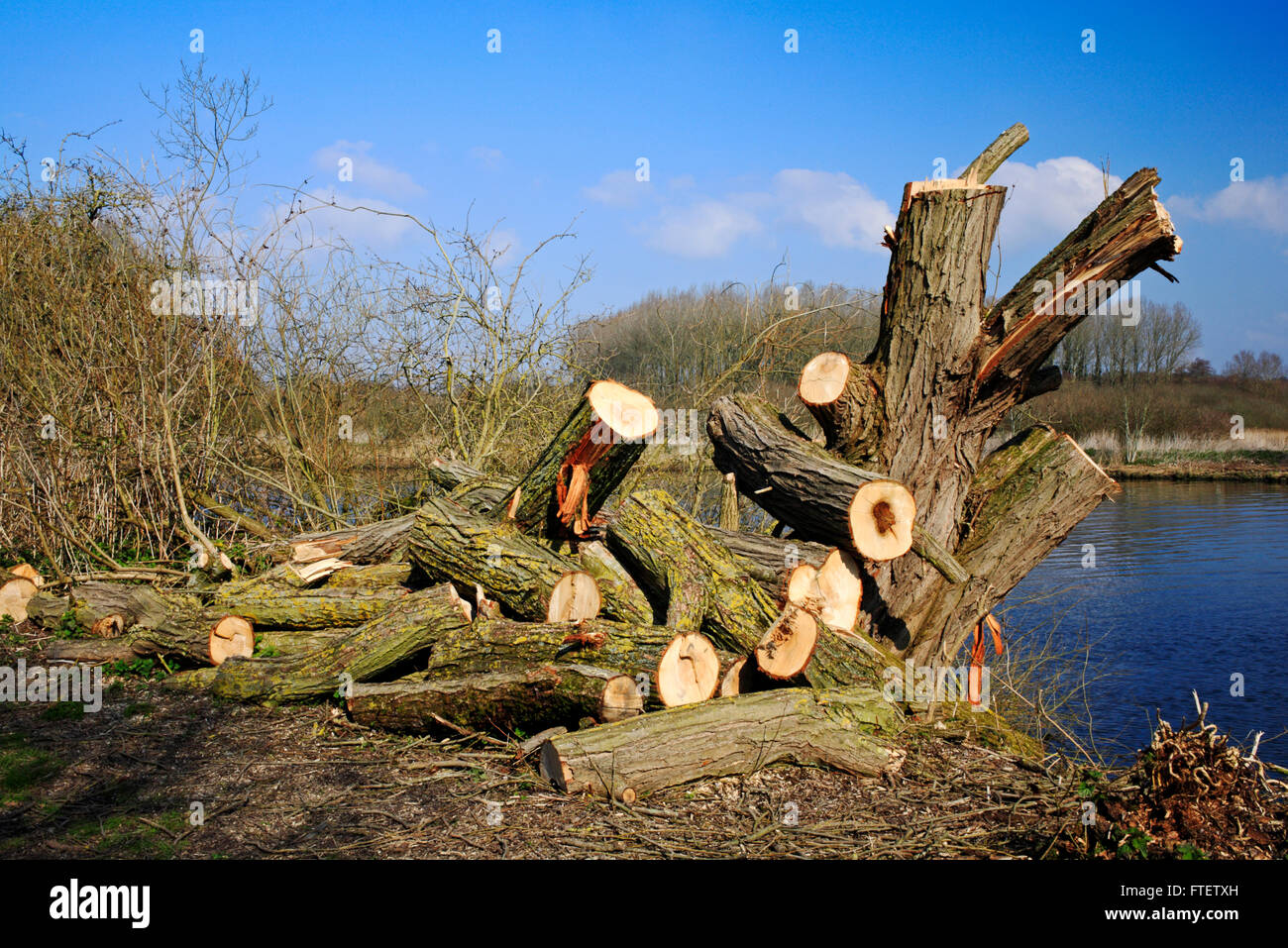 Sawn tree river yare wherrymans hi-res stock photography and images - Alamy