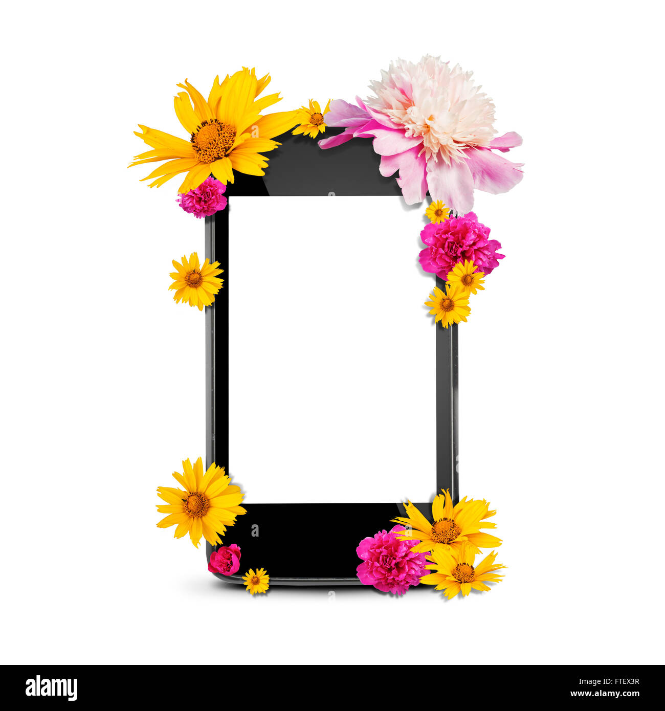 Touch flower Cut Out Stock Images & Pictures - Alamy