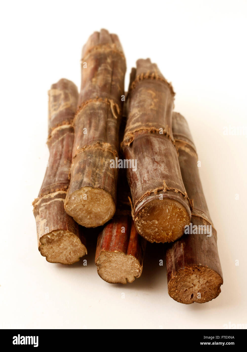 Nourishment stem hi-res stock photography and images - Alamy