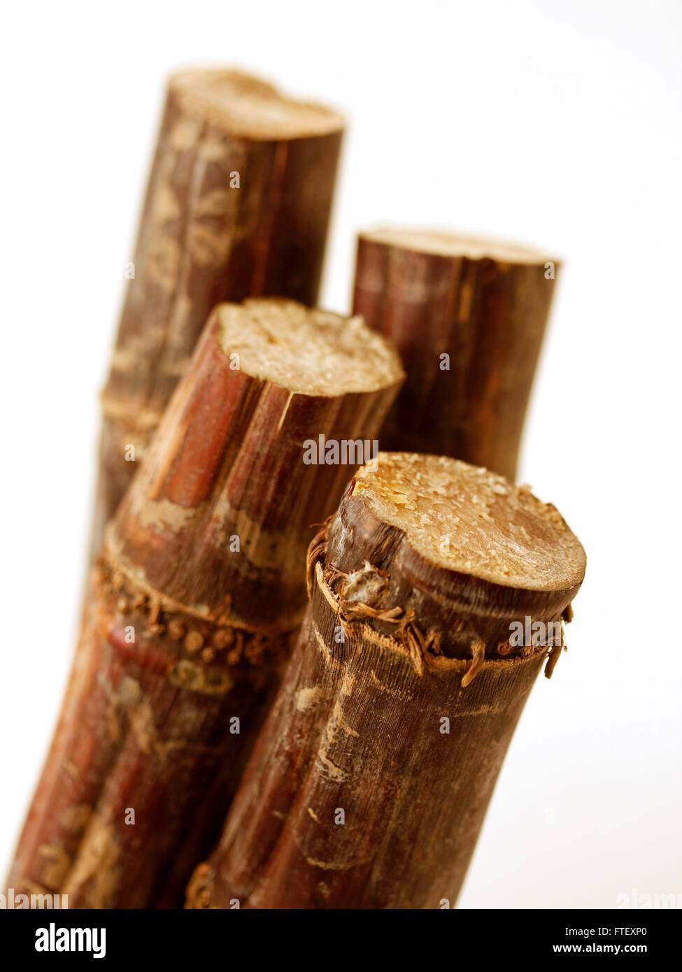 Stems fresh sugar cane hi-res stock photography and images - Alamy
