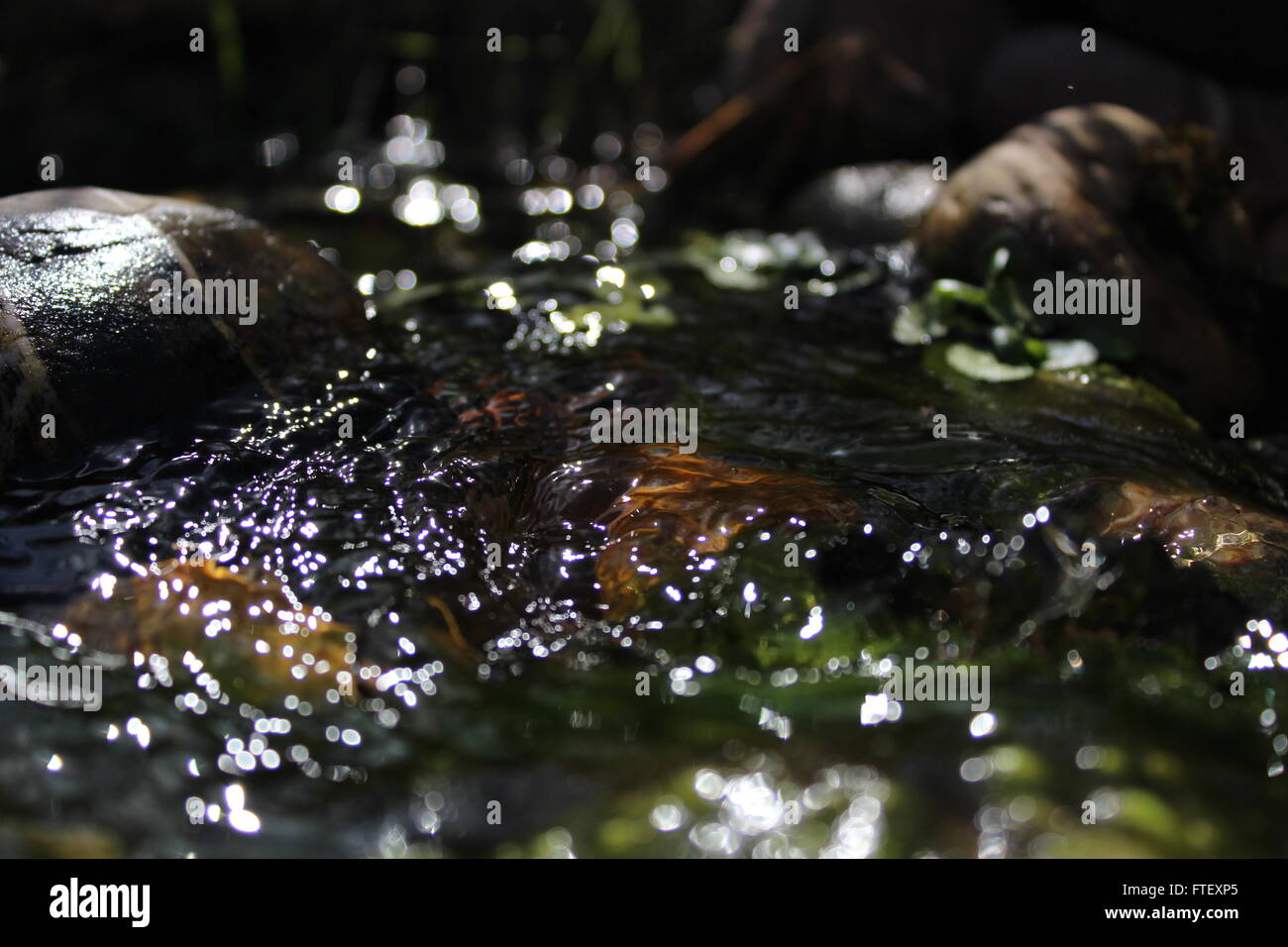 Trickling River Stream Stock Photo - Alamy