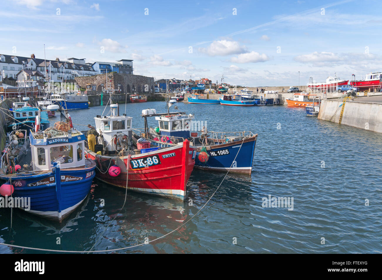 Fishing boats moored in North Sunderland Harbour Seahouses ...
