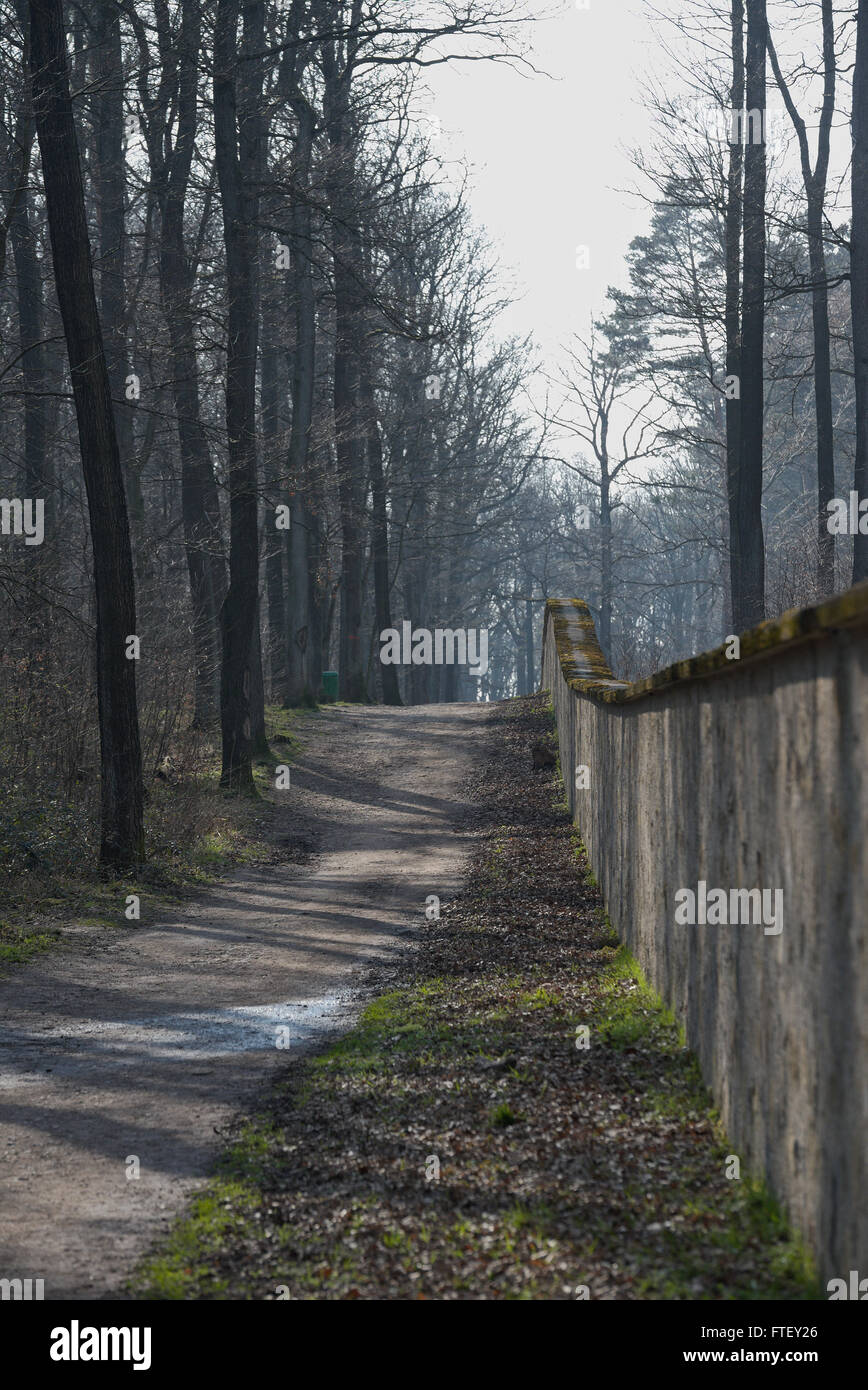 a low Wall in the Forest Stock Photo - Alamy