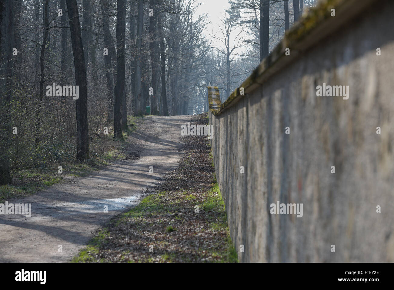 a low Wall in the Forest Stock Photo - Alamy