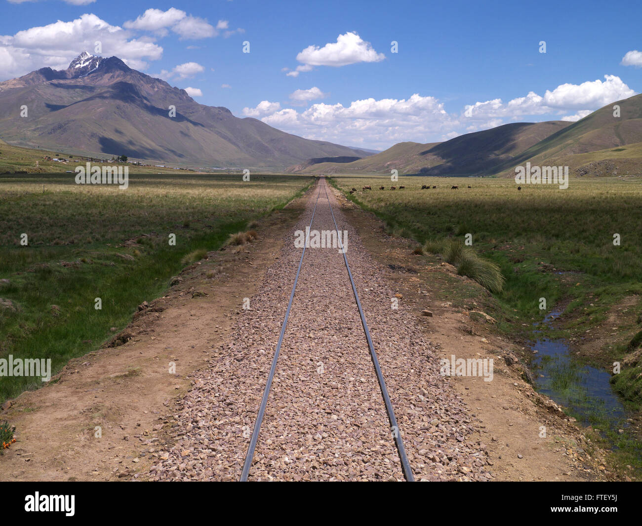Andean explorer train peru hi-res stock photography and images - Alamy