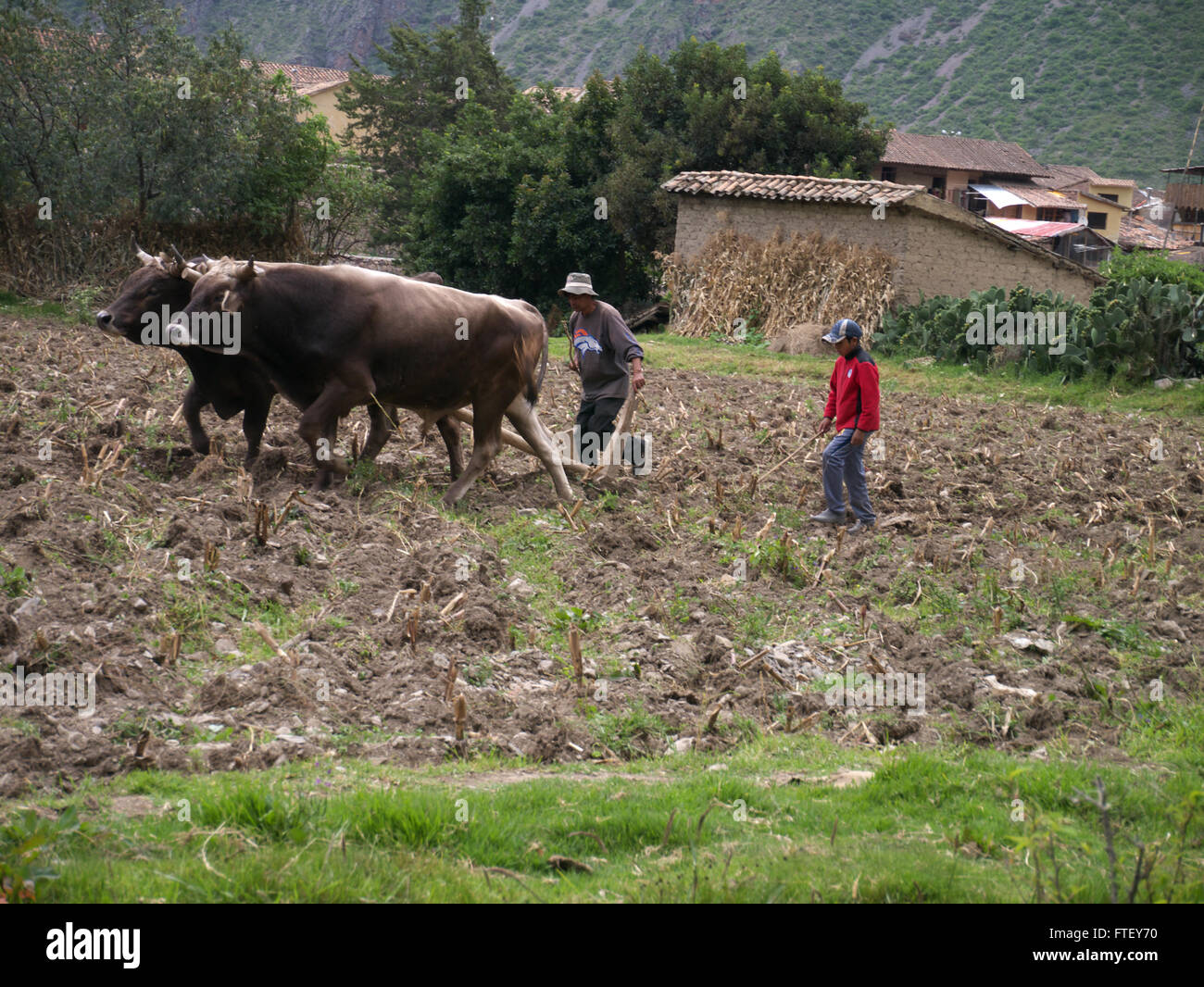 Traditional wooden plough hi-res stock photography and images - Alamy