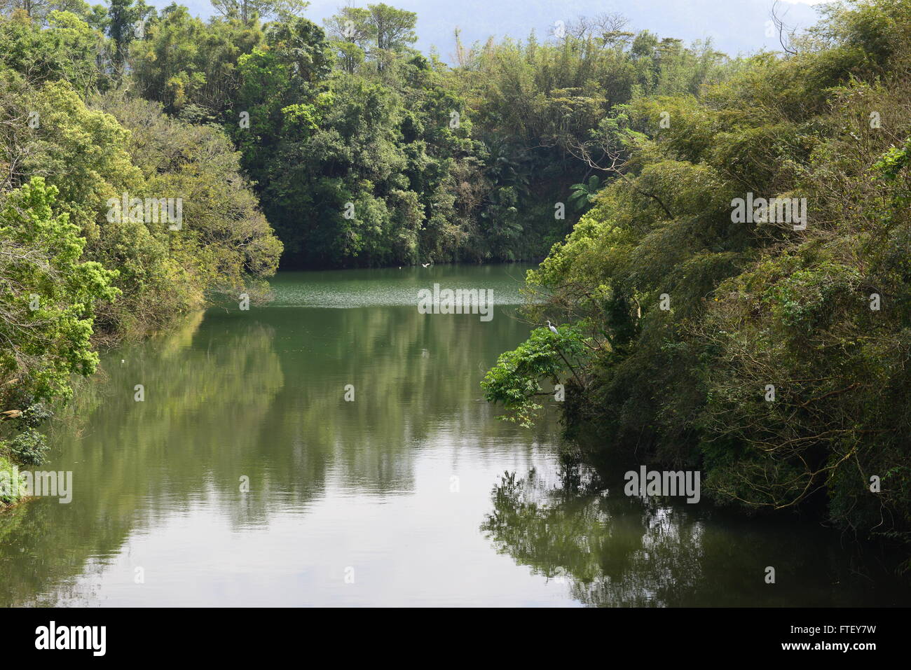 Various kinds of fish are being bred in the reservoir Stock Photo - Alamy
