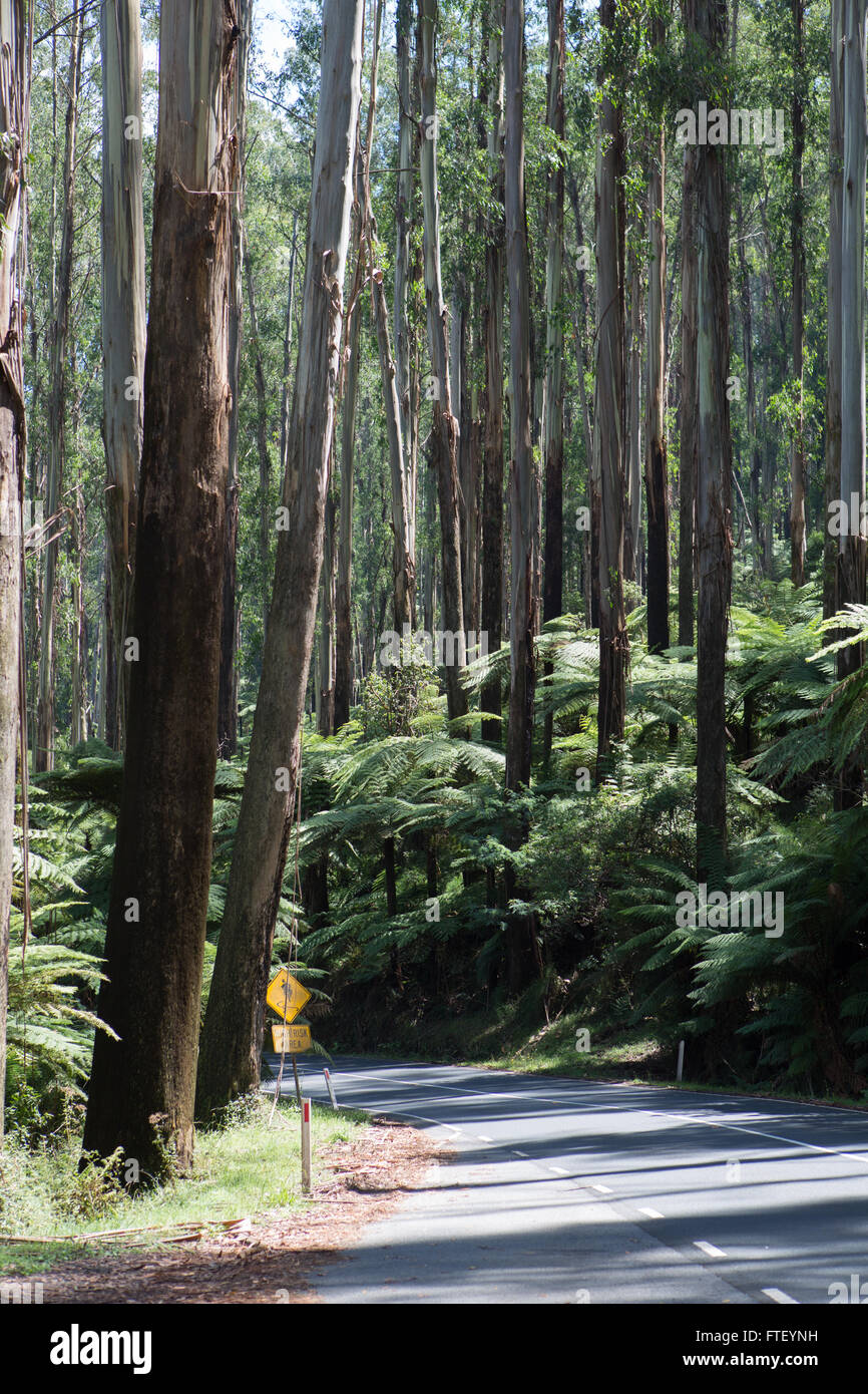 Fteynh hi-res stock photography and images - Alamy