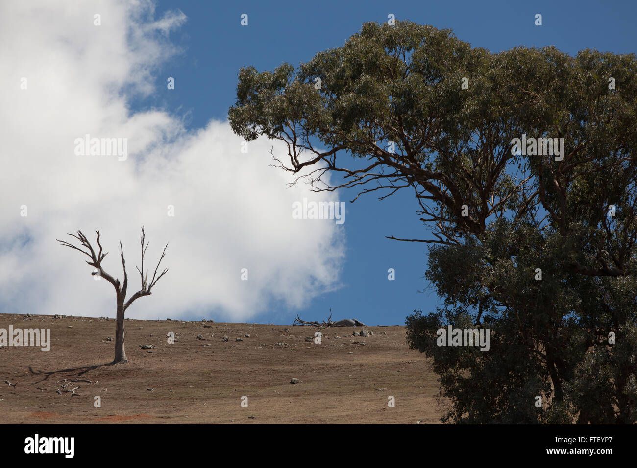 Outback location hi-res stock photography and images - Alamy