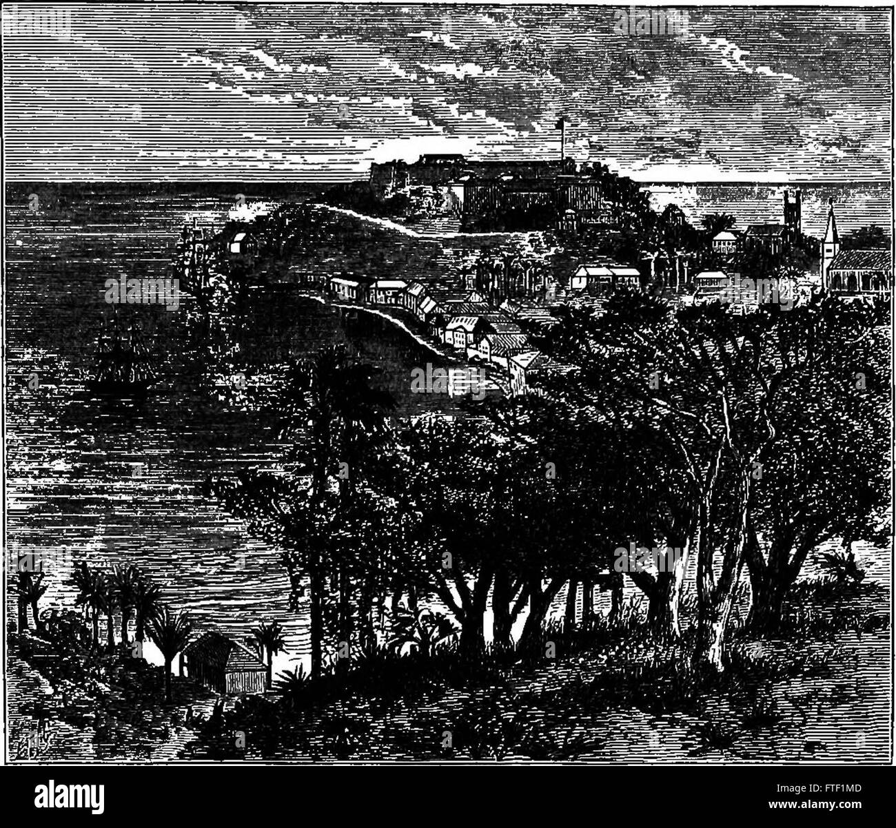 Camps in the Caribbees- the adventures of a naturalist in the Lesser ...