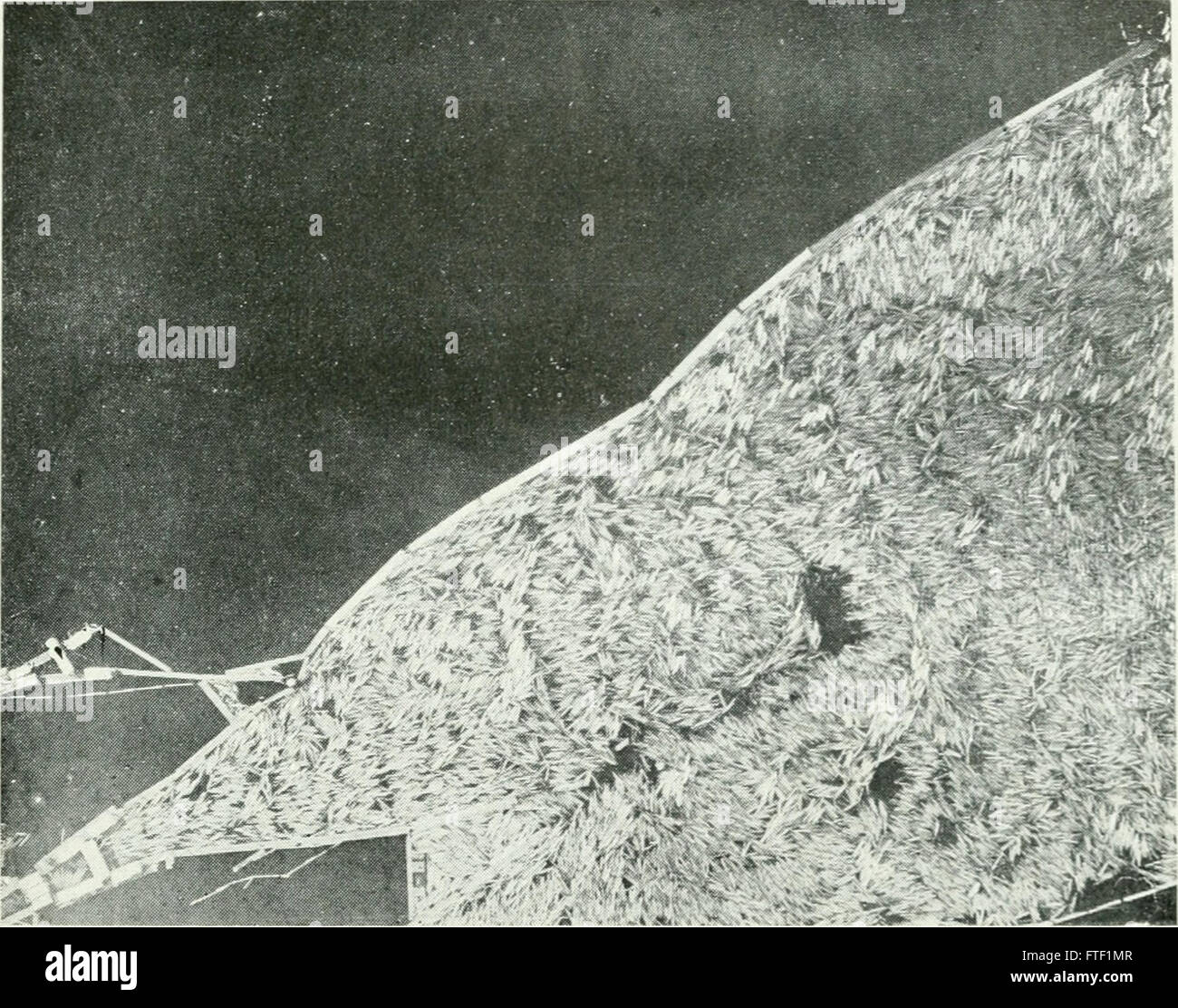 A journal dedicated to forestry practices, research, and environmental ...