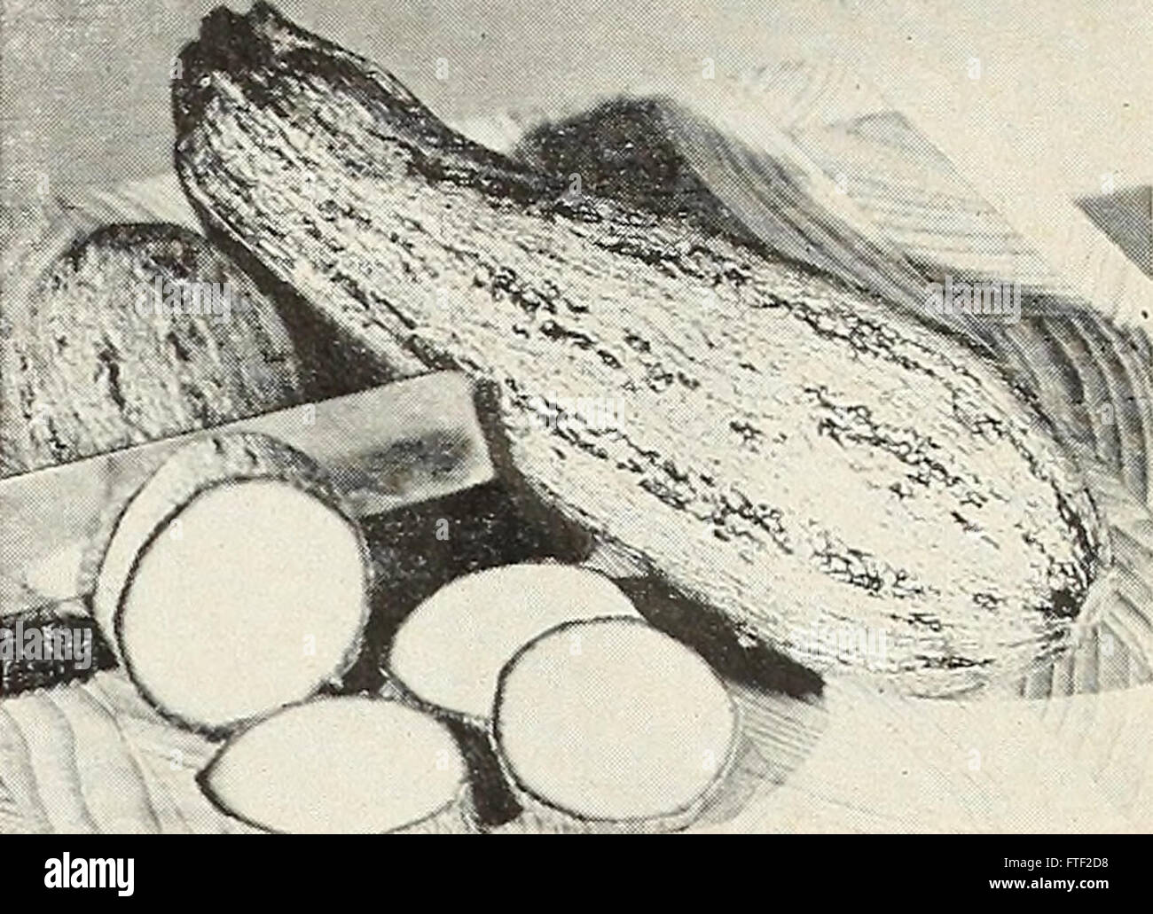 A catalog from Spring 1964 detailing various products and offerings ...