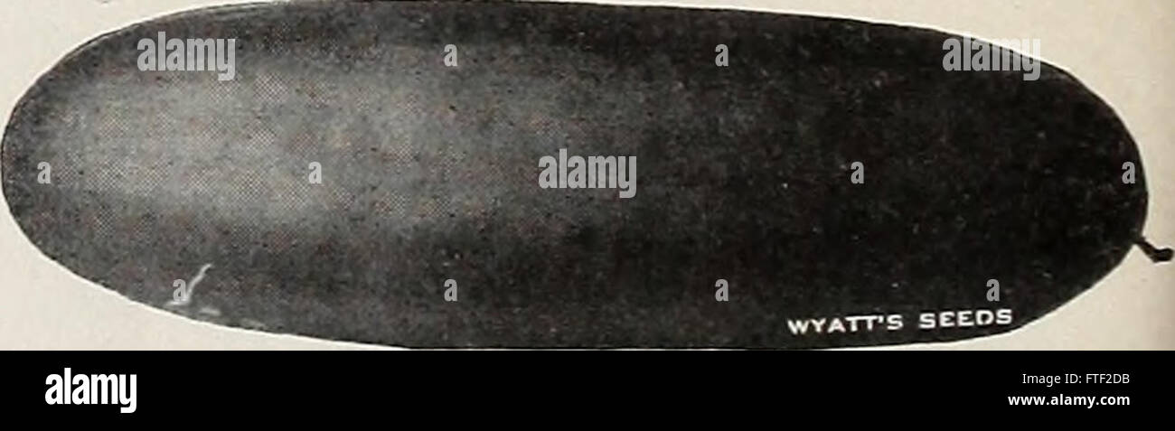 This catalog from Spring 1964 presents a range of products, innovations ...