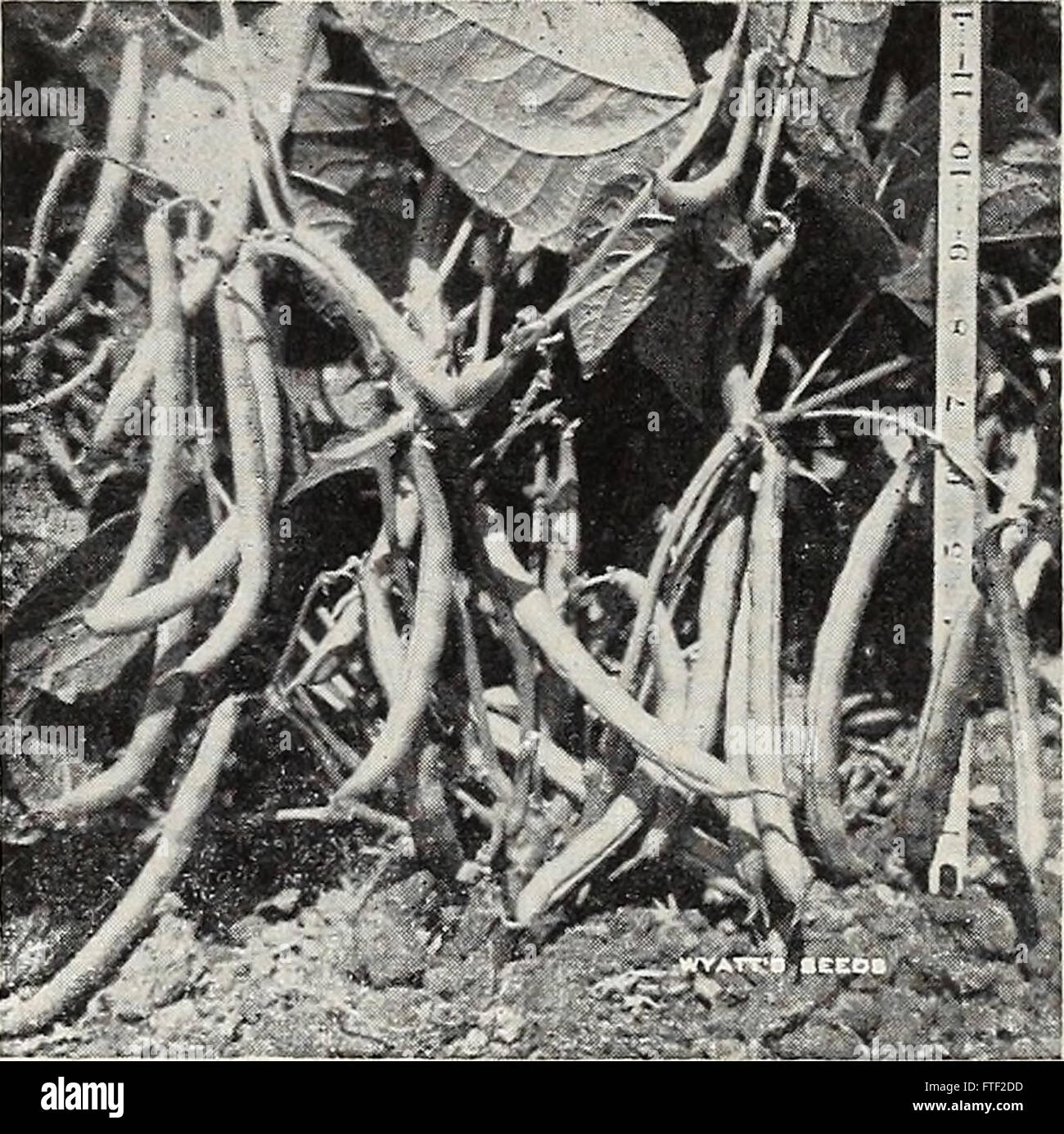 This catalog from Spring 1964 presents a detailed list of products ...