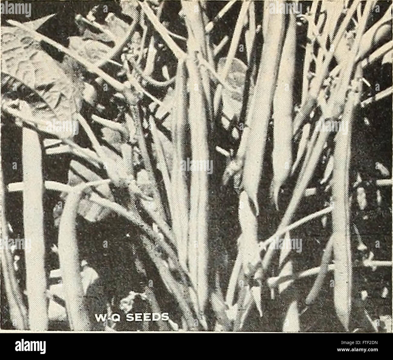 A catalog from Spring 1964, listing products, services, and offerings ...