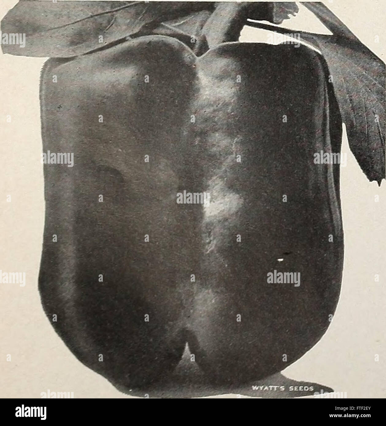 The 'Catalog - Spring 1968' provides a collection of items, products ...