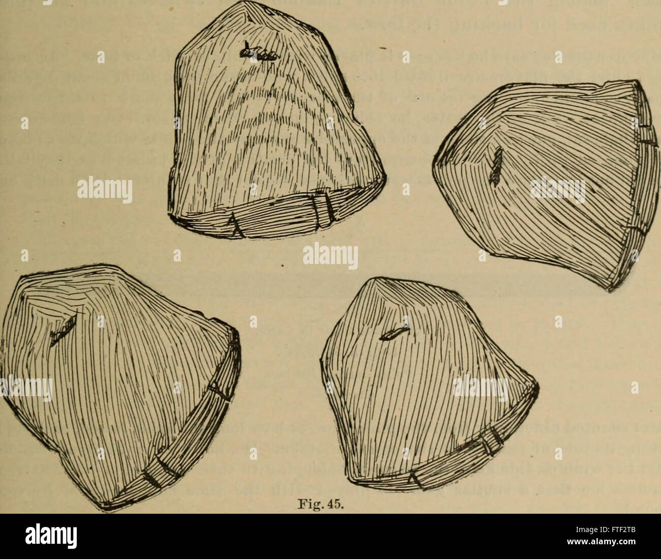This 1898 work explores the history, rules, and strategies of chess and ...