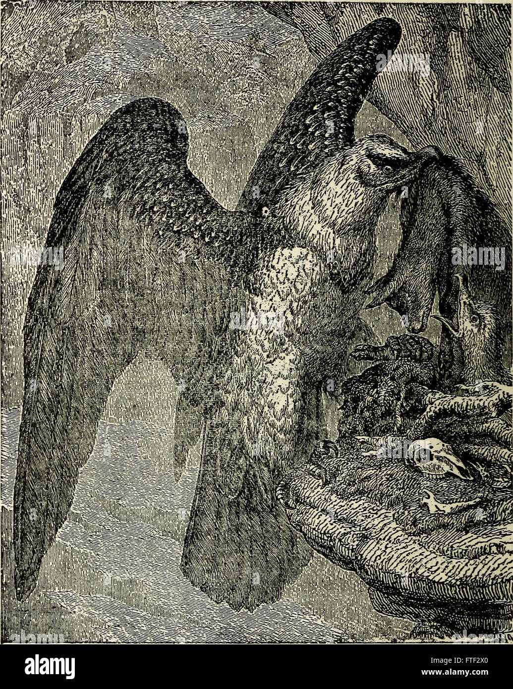 'Children's Own Library' (1910) is a compilation of literature and ...