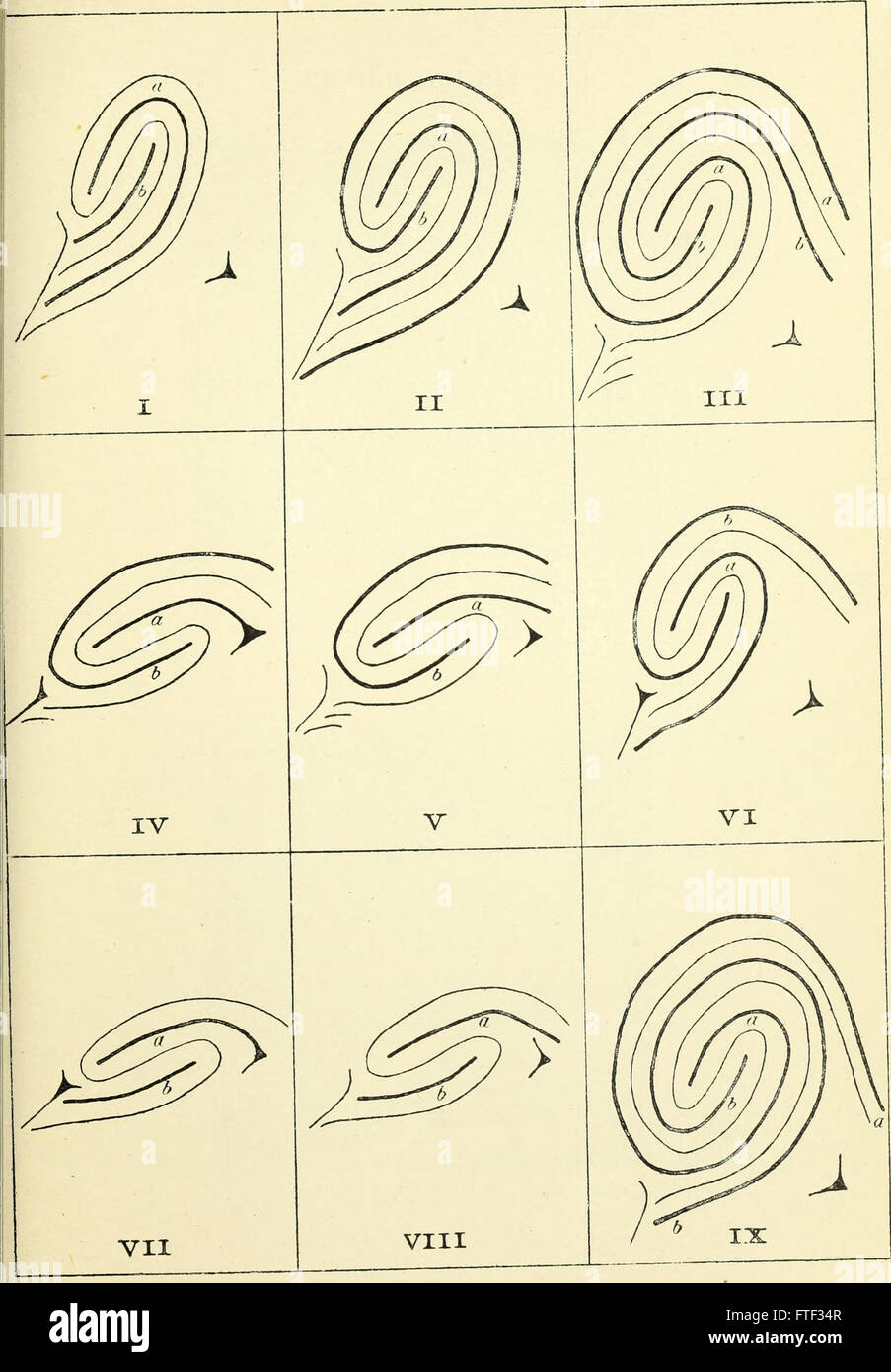 This 1905 publication discusses the classification and practical ...