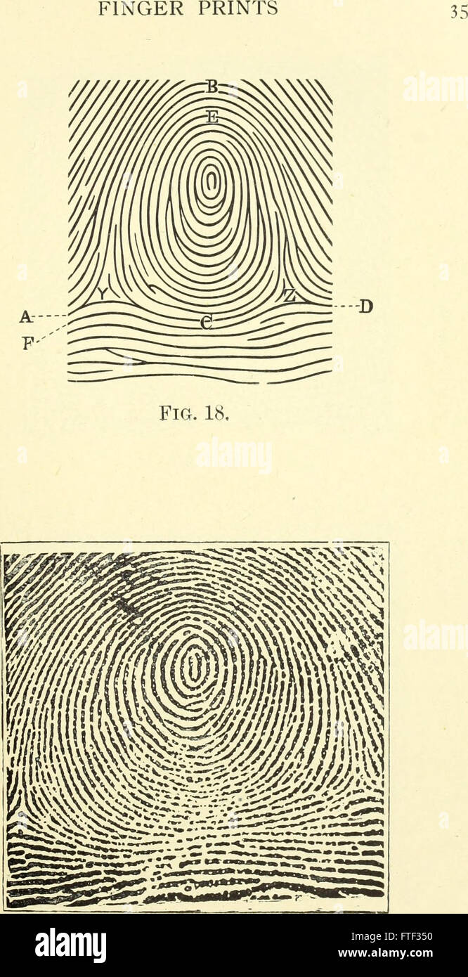 'Classification and Uses of Finger Prints' (1905) discusses the ...