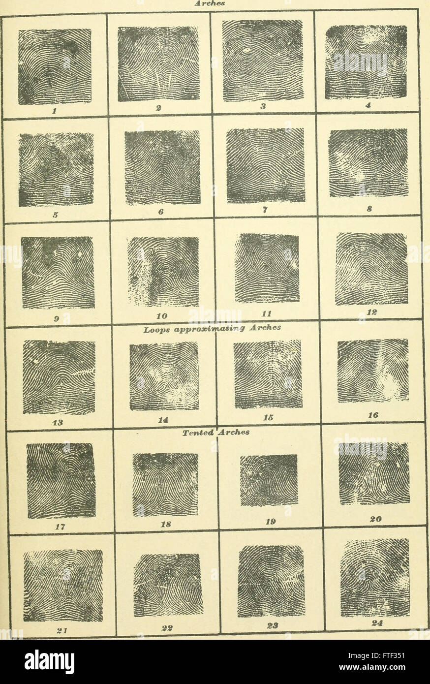 *Classification and Uses of Fingerprints* (1905) outlines the ...
