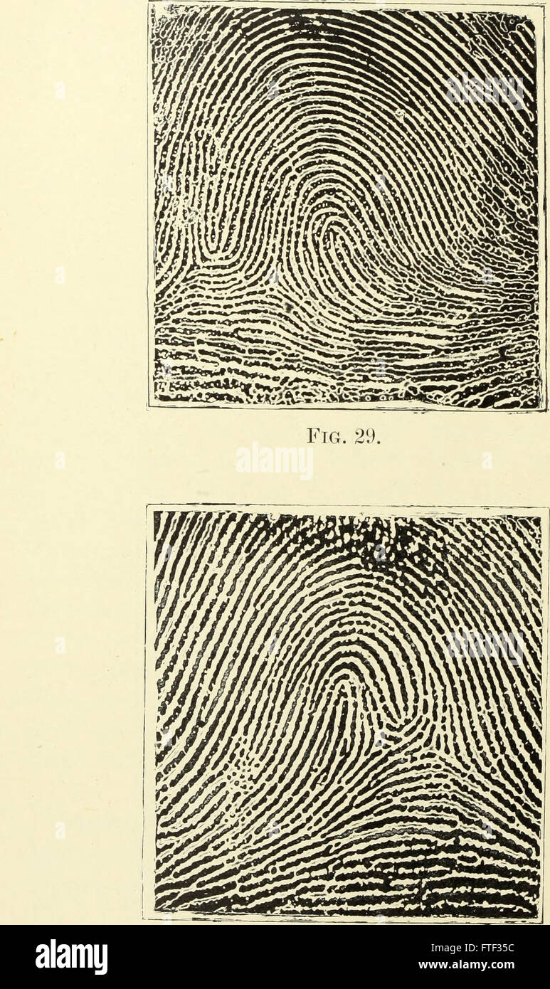 A 1905 resource on the classification and applications of fingerprints ...