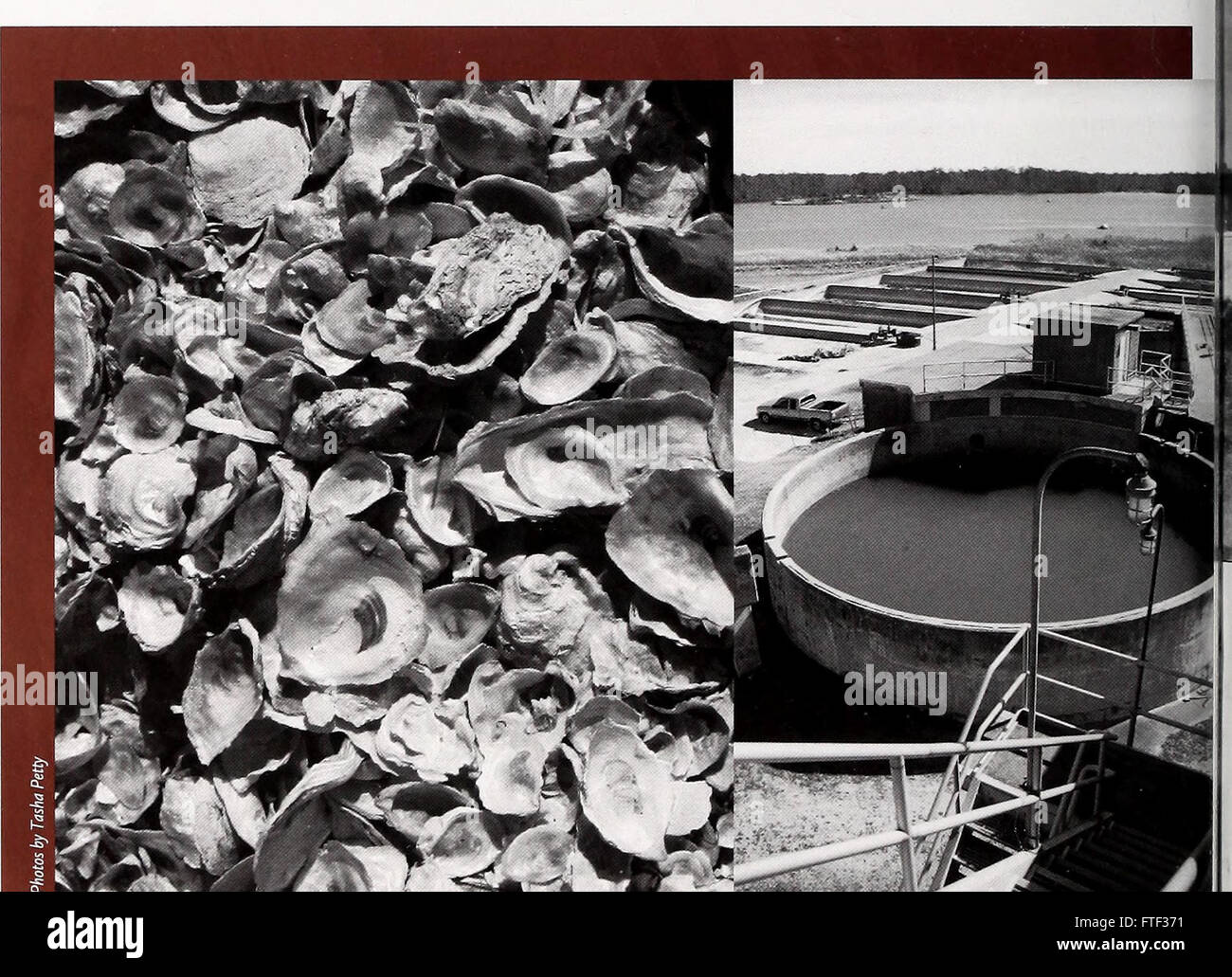 'Coast Watch' (1979) covers the surveillance and monitoring of coastal ...