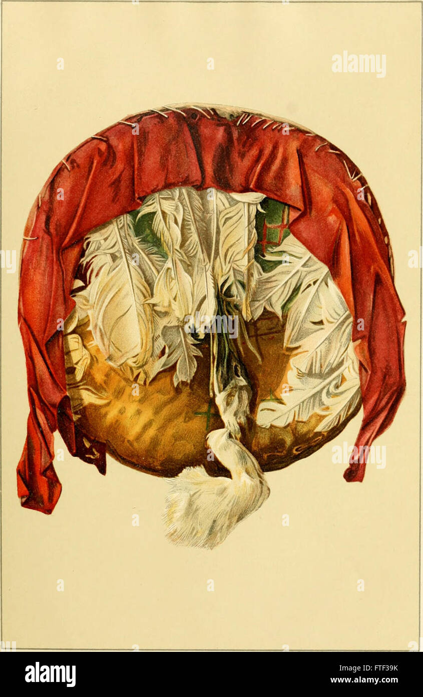 The 1895 report from the Bureau of American Ethnology, detailing ...