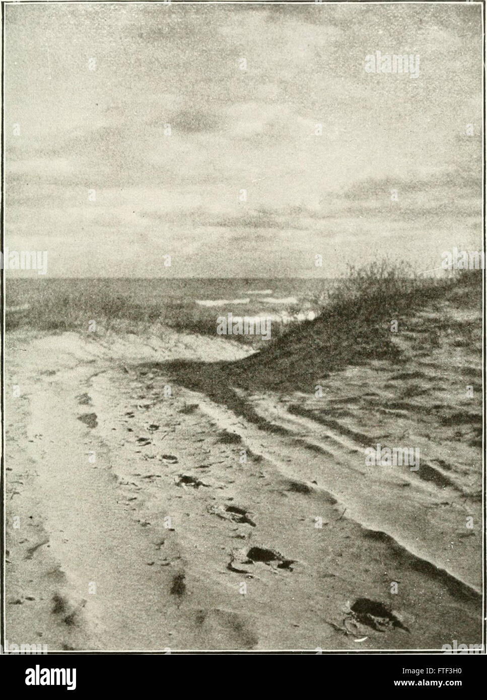 'Complete Self-Instructing Library of Practical Photography' (1909) is ...