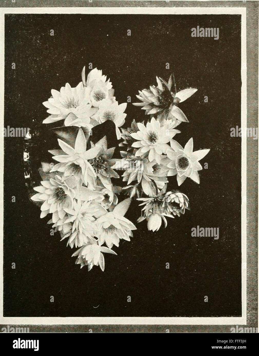 The *Complete Self-Instructing Library of Practical Photography* (1909 ...