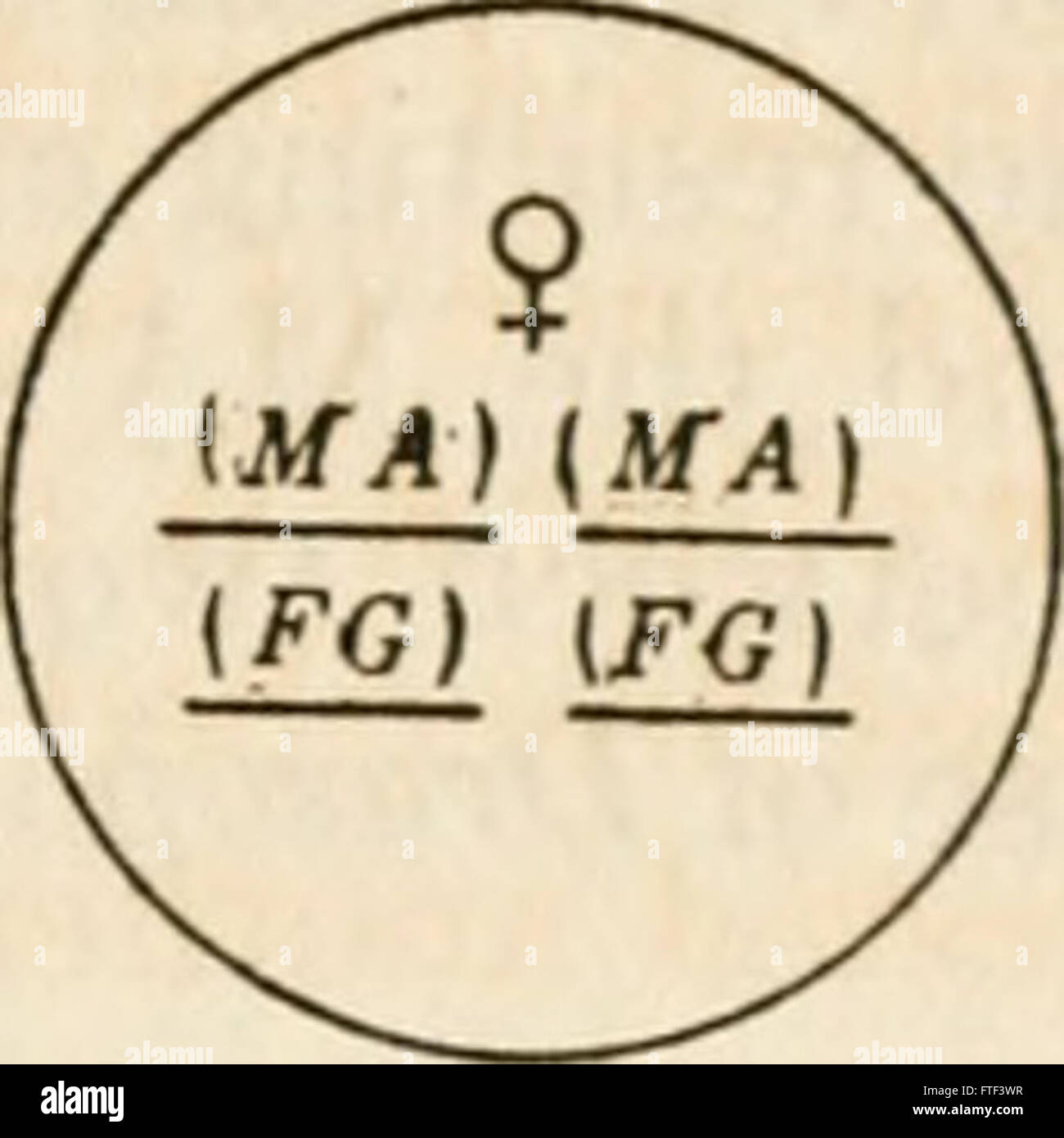 This 1919 research paper explores the genetic characteristics and ...