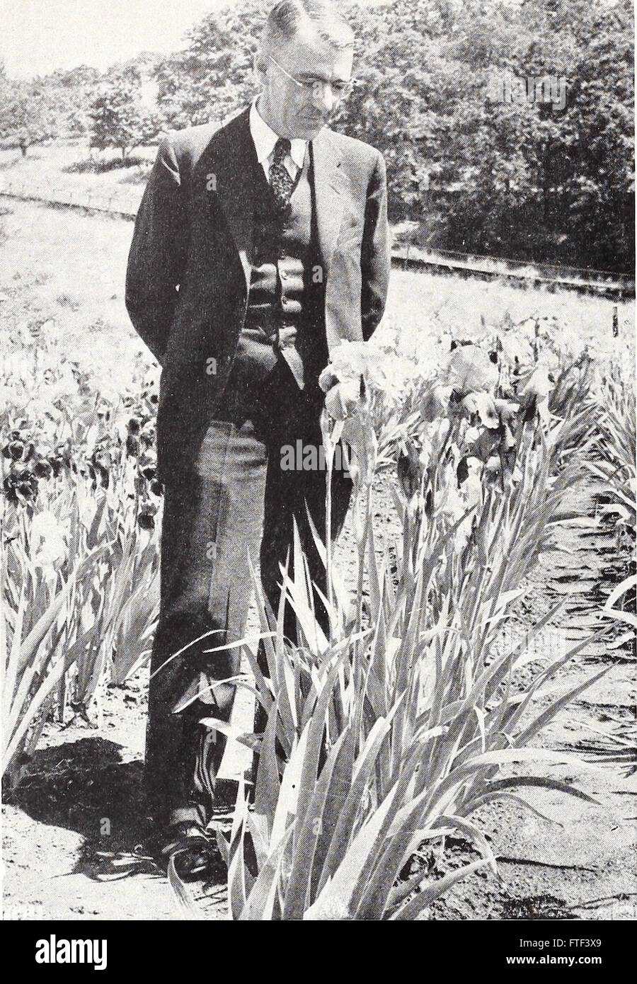 Map of silverton hi-res stock photography and images - Alamy