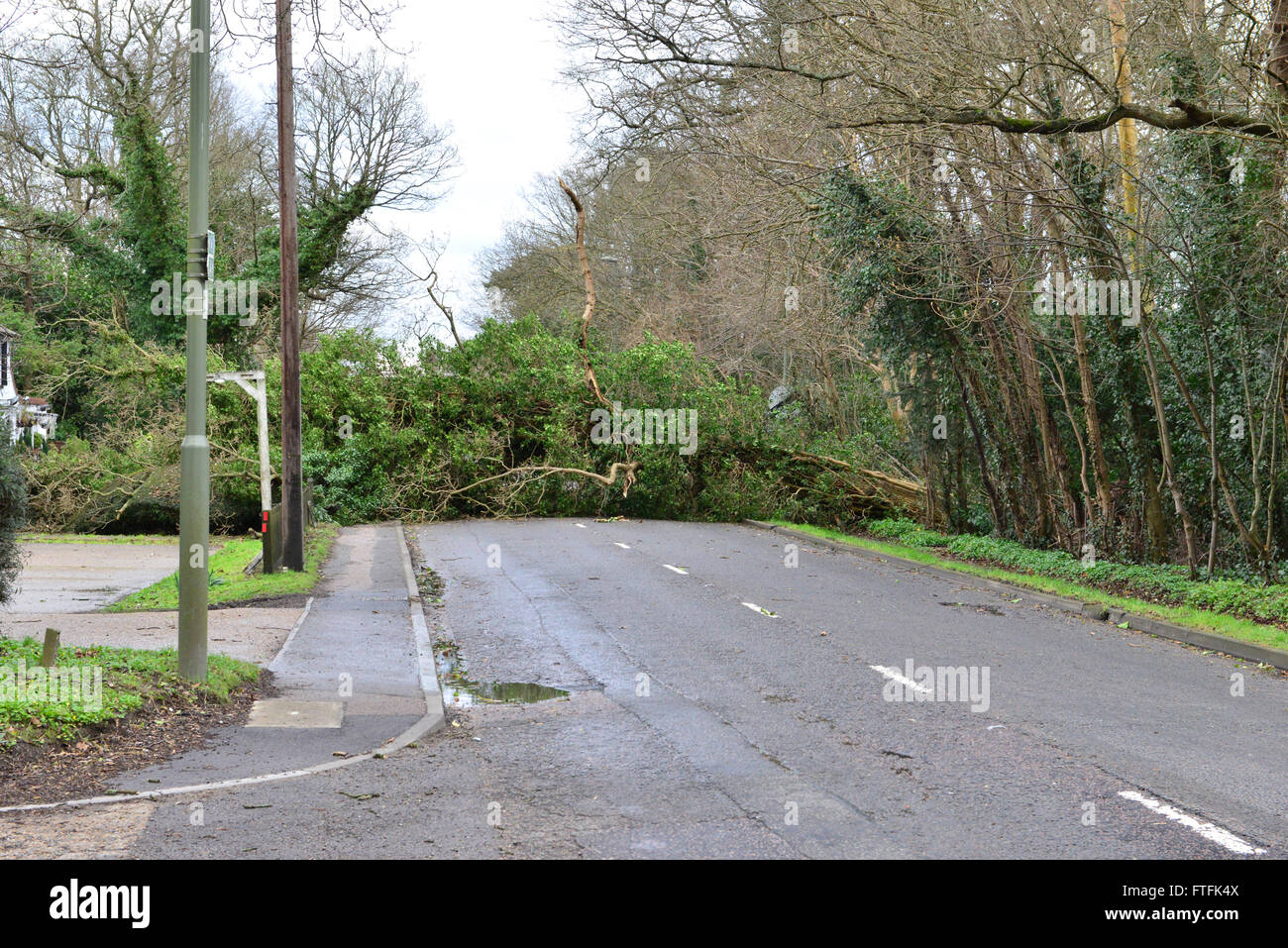 River Mole, UK. 28th March, 2016. UK Weather: River Mole flooding its ...