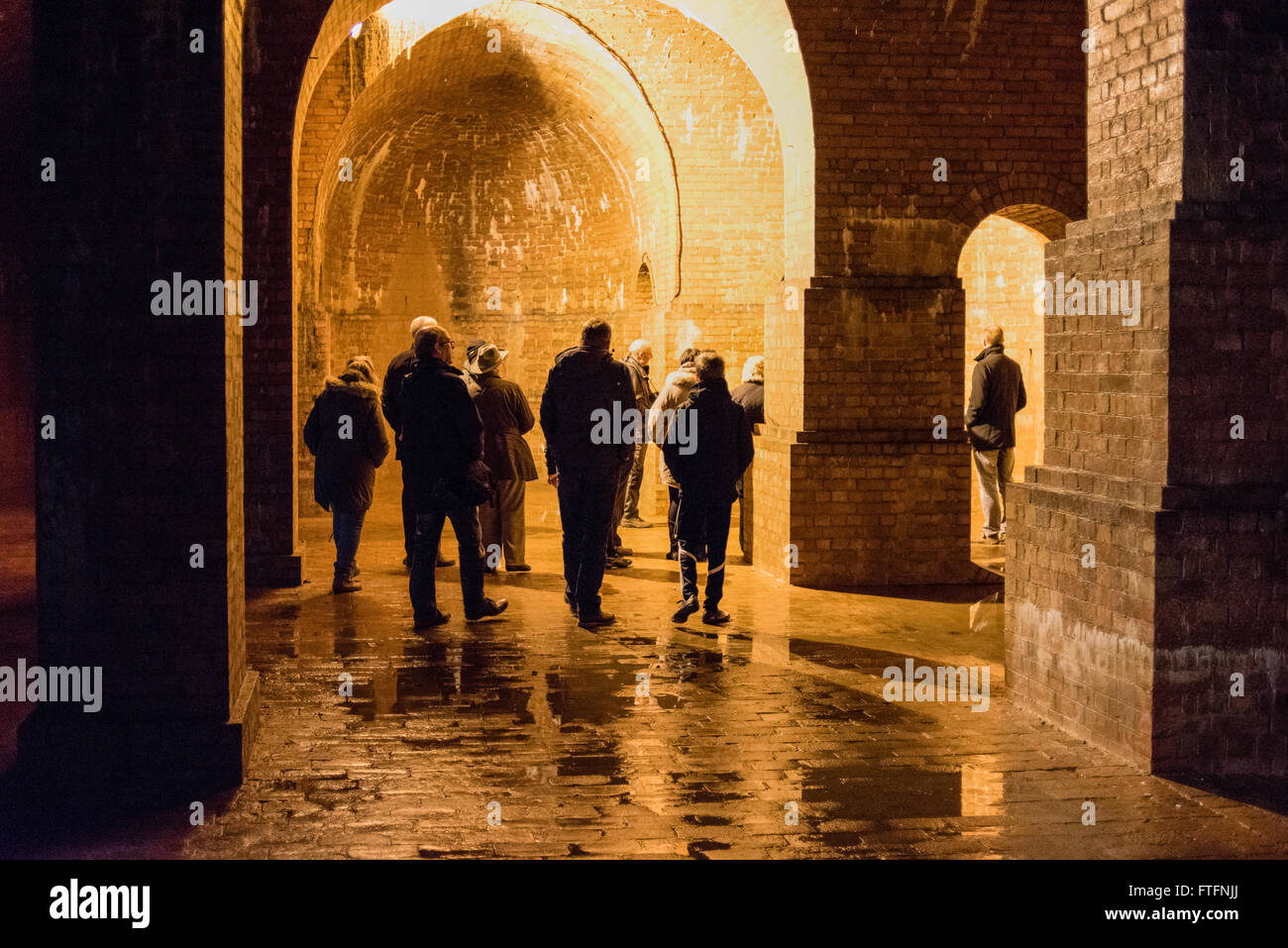 Growing underground uk hi-res stock photography and images - Alamy