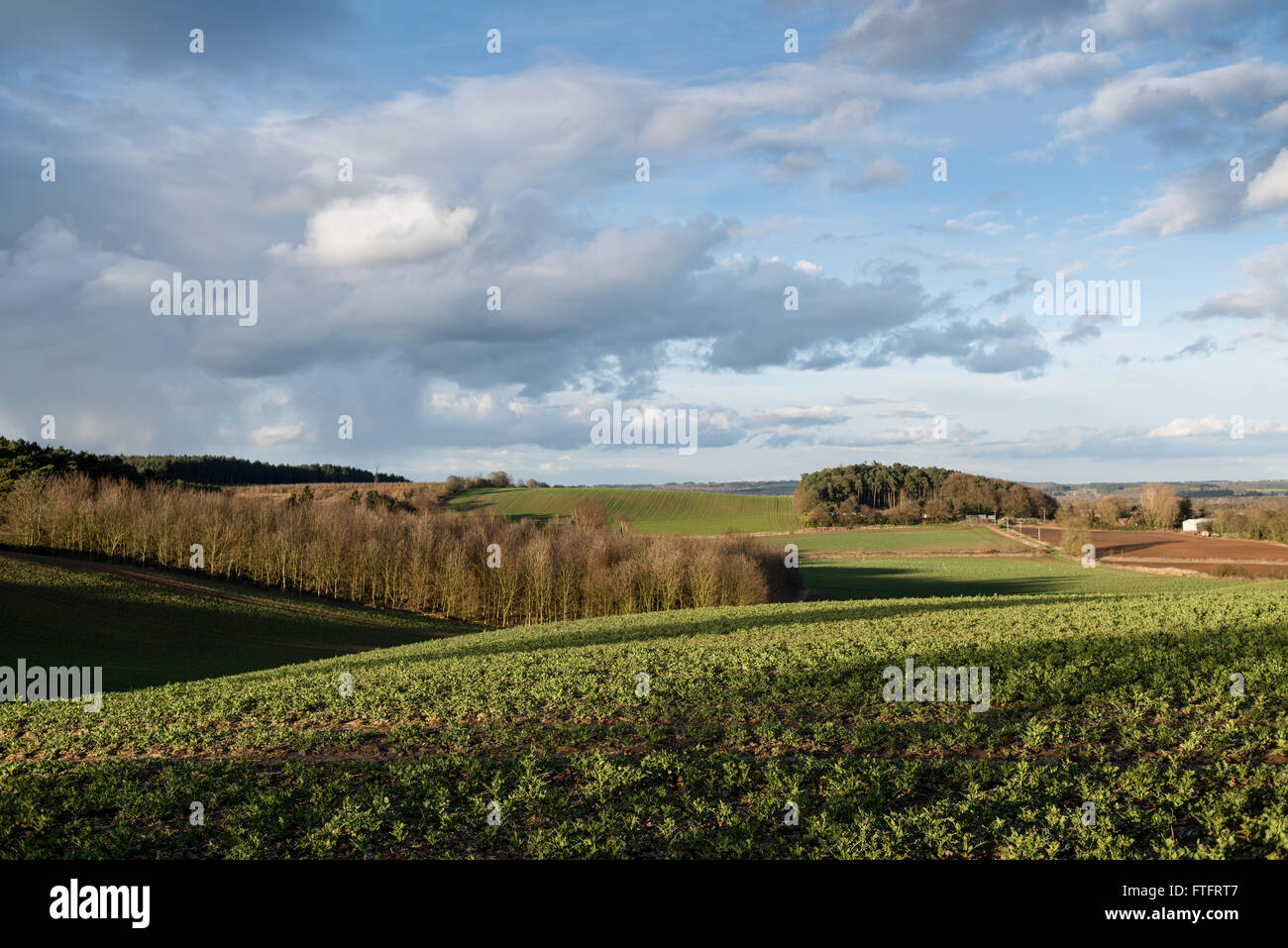 Hucknall, Nottinghamshire, UK. 28th March, 2016. UK Weather:After storm ...