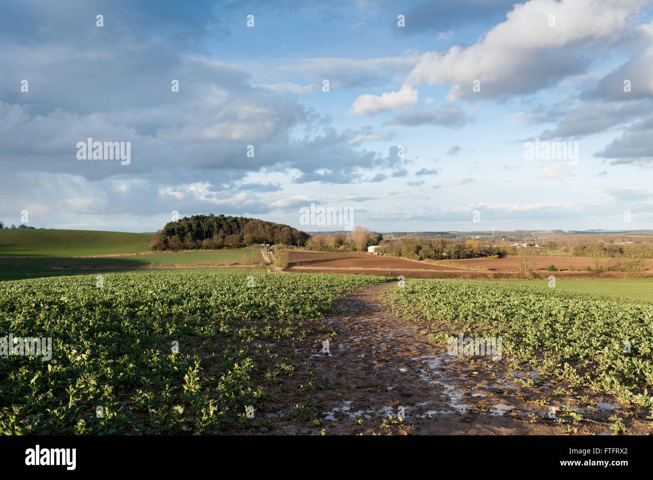 Misk hills hucknall nottinghamshire uk hi-res stock photography and ...