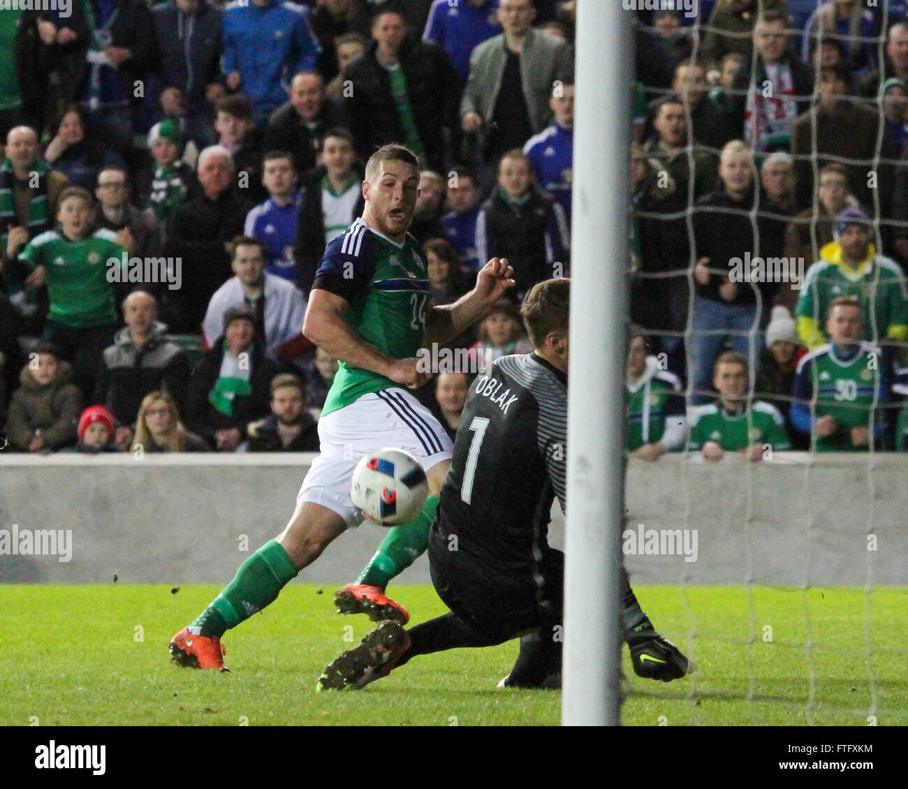 National Football Stadium, Belfast, Northern Ireland. 28th March 2016 ...