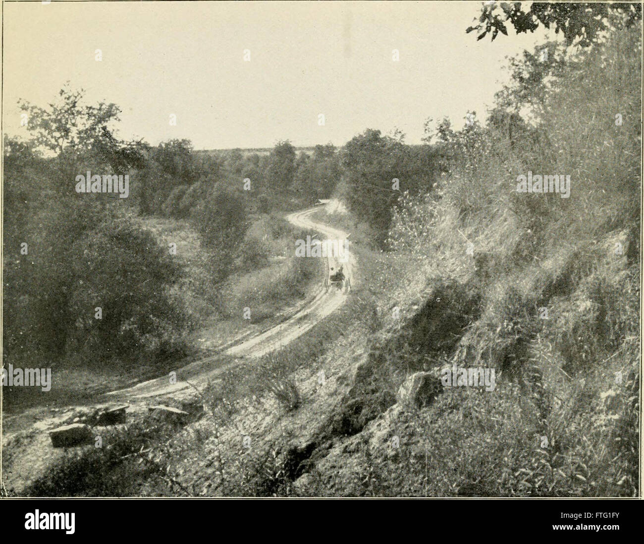 A collection of poems from 1910 that capture the beauty and serenity of ...