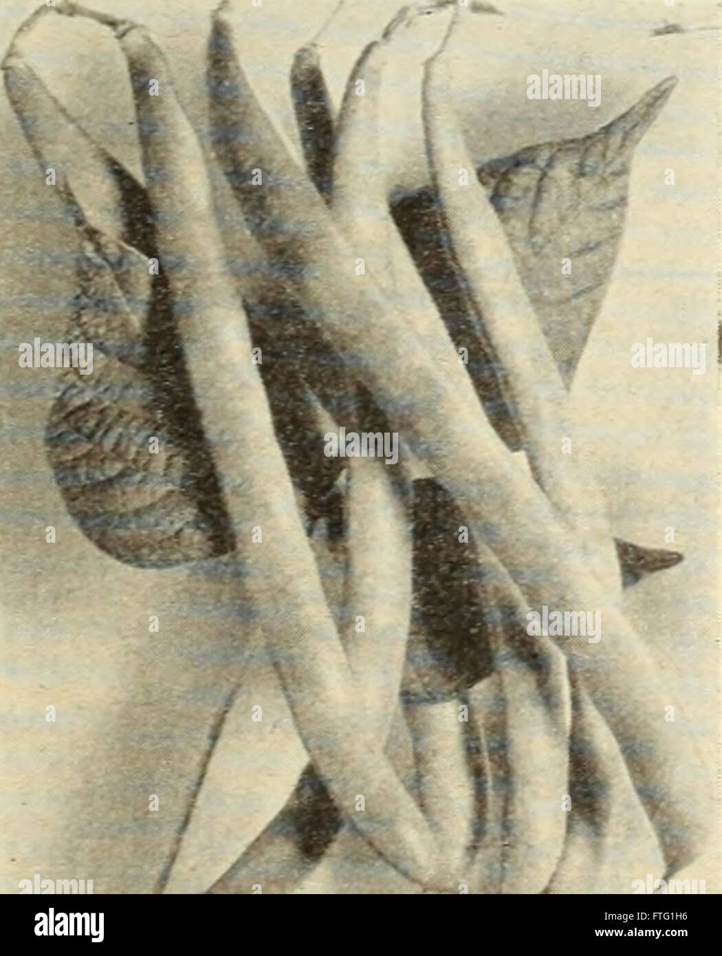 Inc font hi-res stock photography and images - Alamy