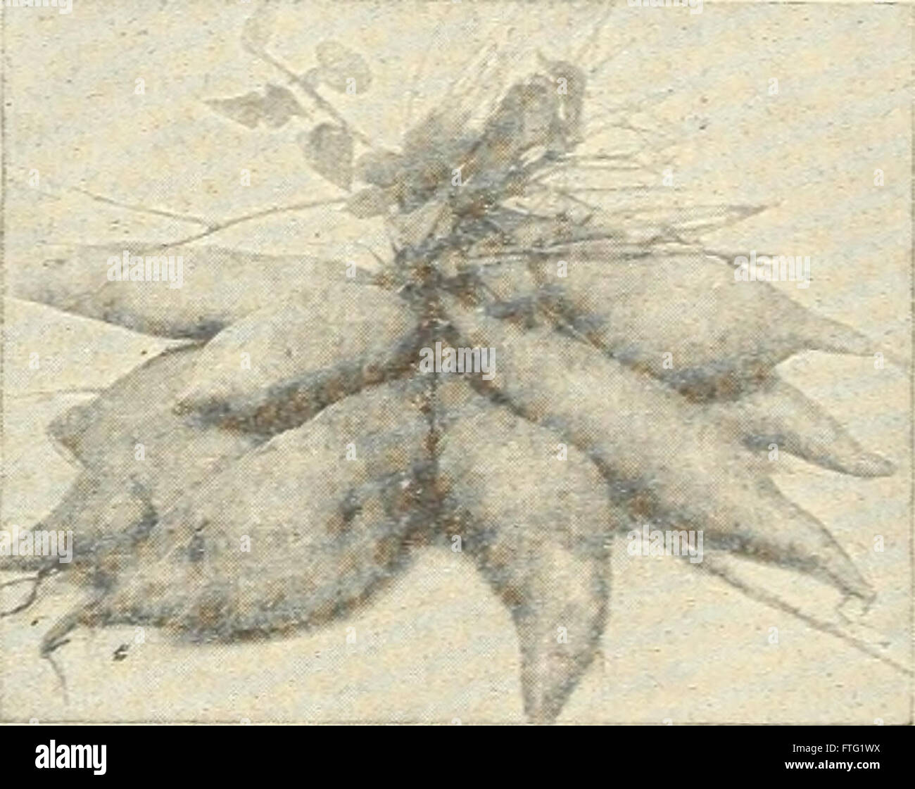 A catalog from 1959, featuring products, services, and innovations from ...