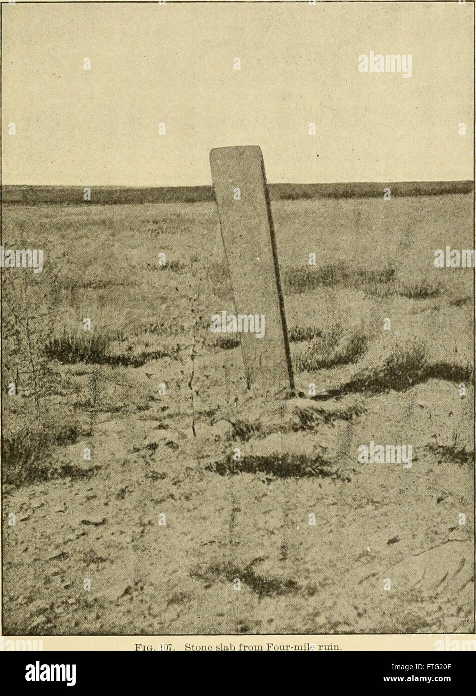 A 1900 report detailing the research and findings of the Bureau of ...