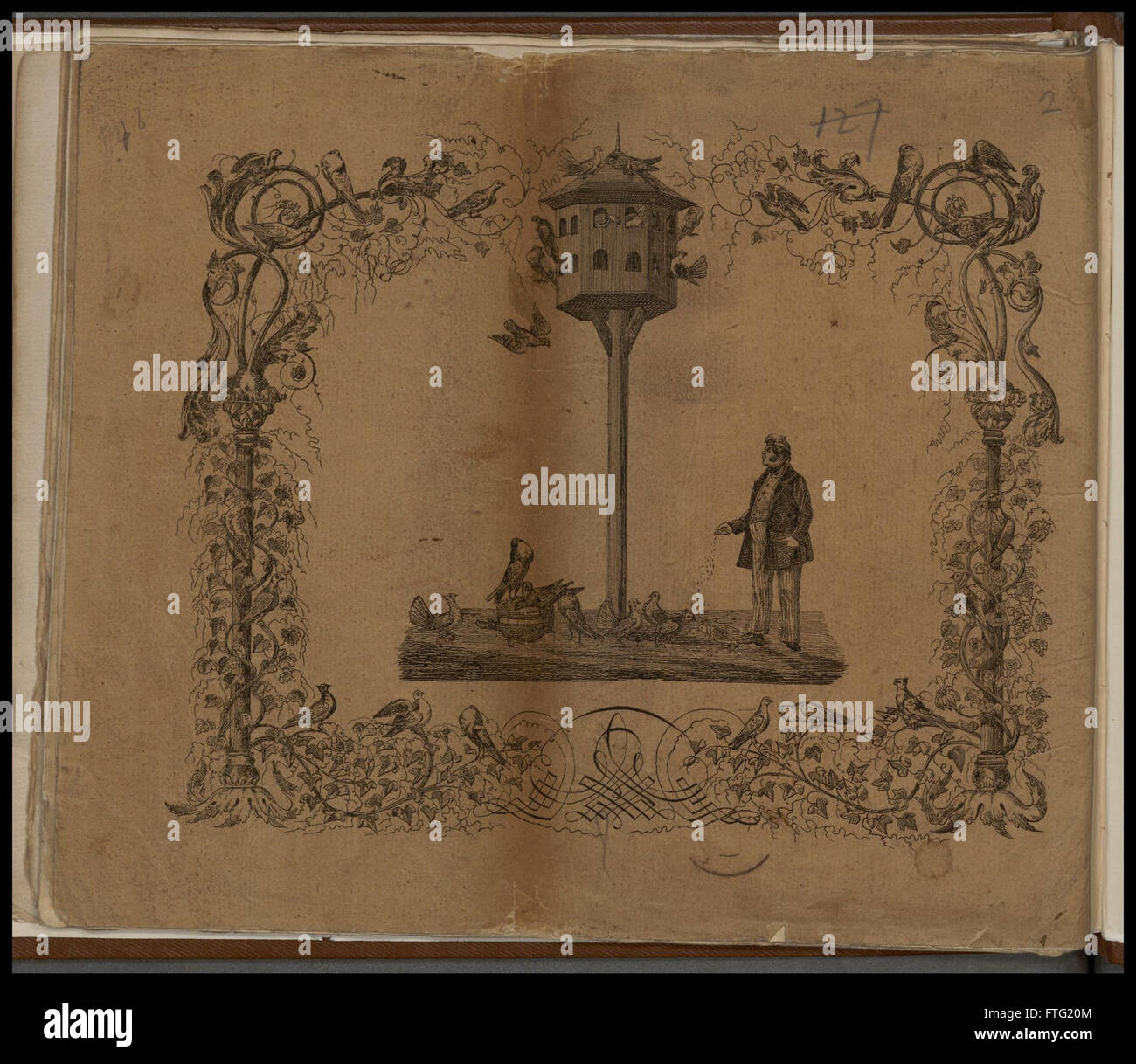 This work offers a comprehensive overview of pigeon breeding, covering ...