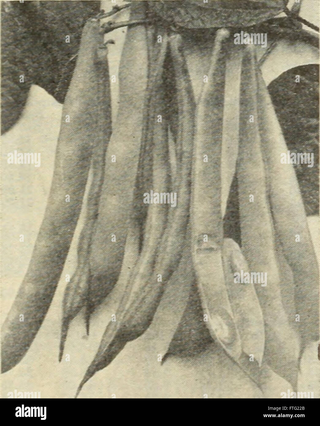 The *1959 Catalog* presents a comprehensive collection of products ...