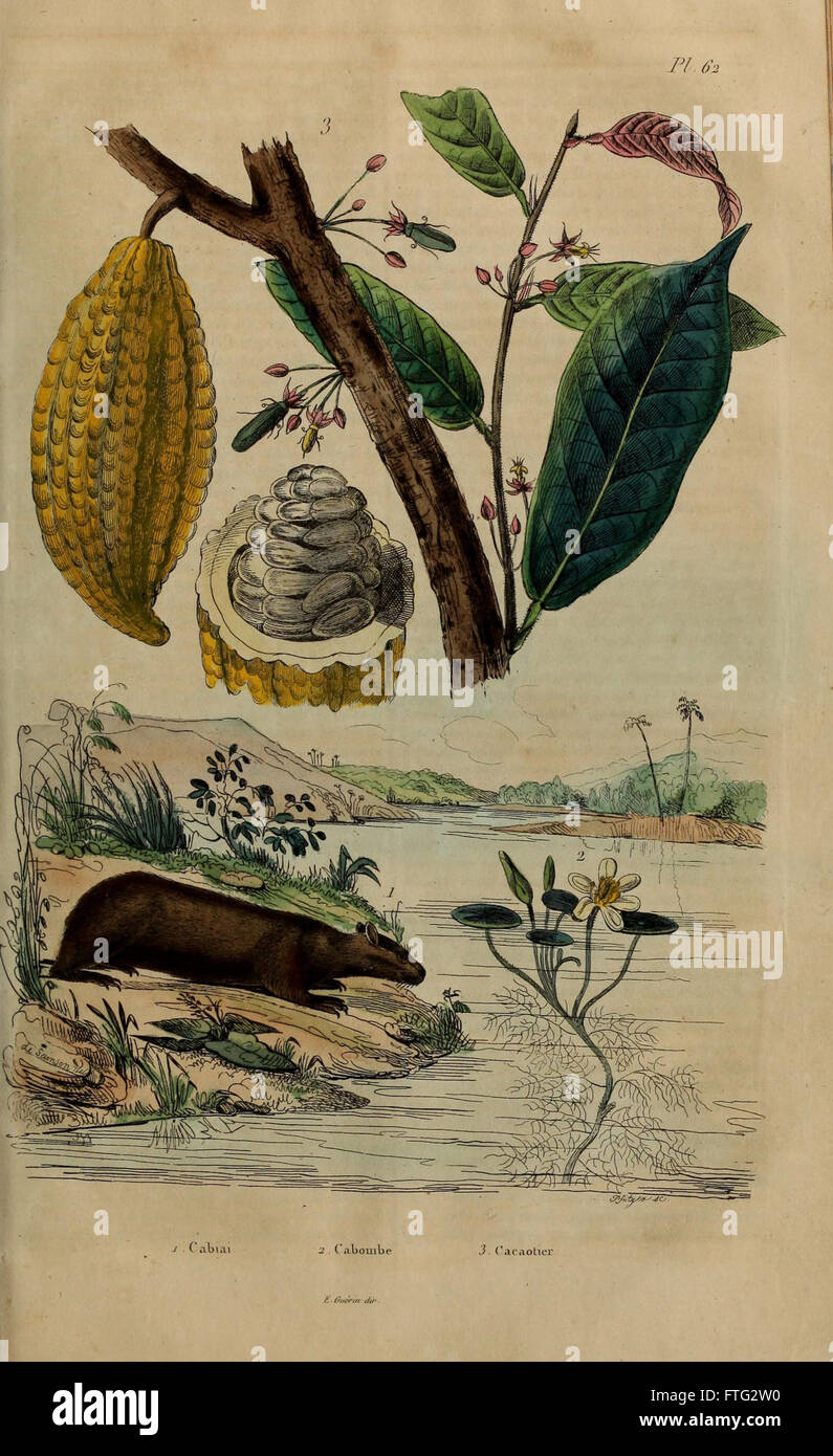 A natural history dictionary featuring illustrations of natural ...